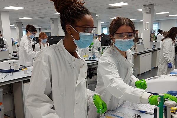 Course Information BA Human Sciences | Institute of Human Sciences